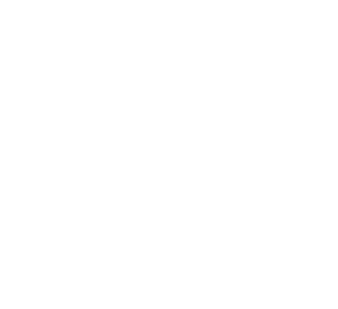 MaxyGo Broker de Asigurare S.R.L